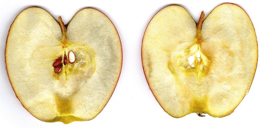 What is ORP & Redox Potential? - Alkaline Water Filter Review